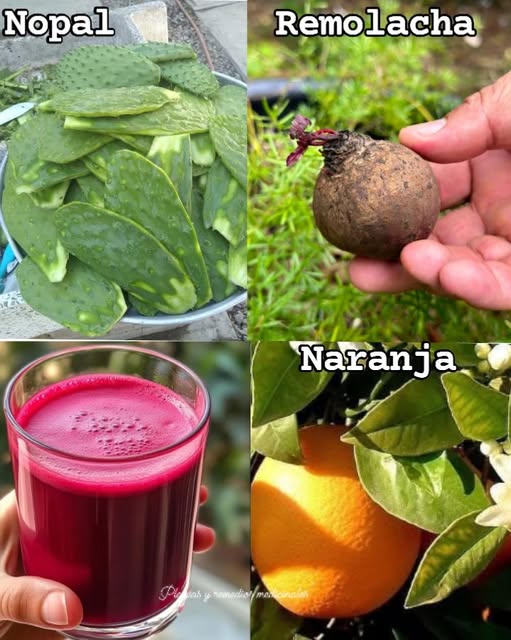 "Receta de batido de nopal, remolacha y naranja para desintoxicar y fortalecer el cuerpo ...