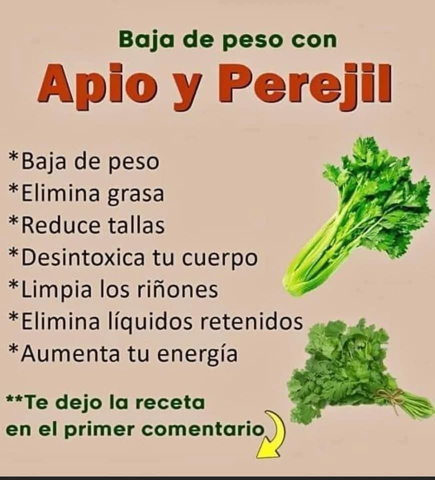 Aprovecha los Poderosos Beneficios del Apio a través de su Jugo Refrescante. - Natureview