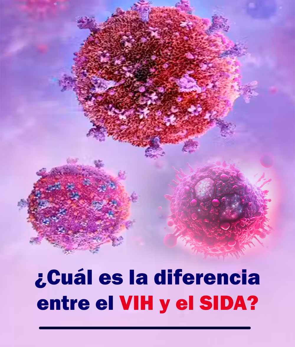 Diferencia entre VIH y SIDA explicado de forma sencilla. - Natureview