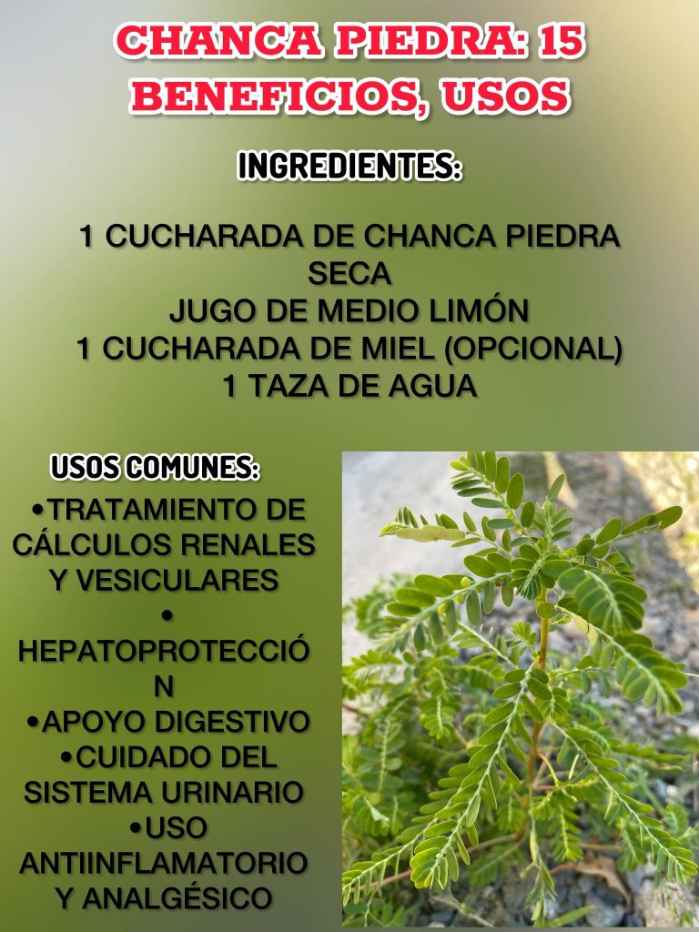 "Chanca Piedra: 15 Beneficios, Usos y Recetas para Mejorar tu Salud" - Natureview