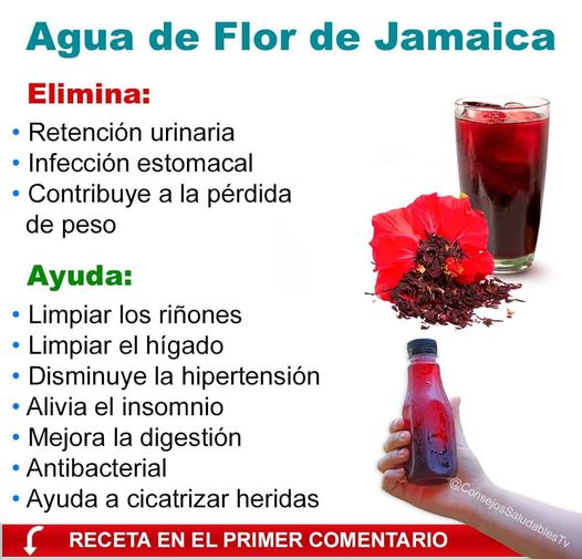 Sabias que con Esta Flor Puedes Preparar una Saludable Bebida ...