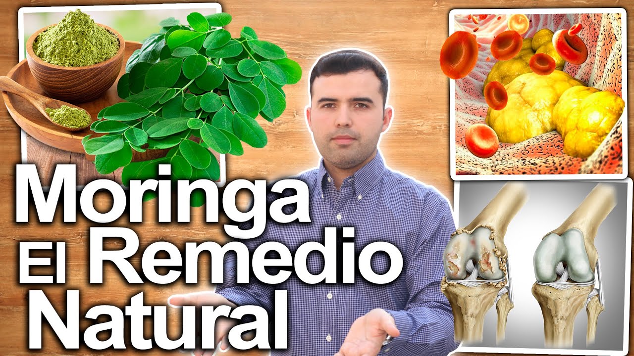 SECRETOS DE LA MORINGA - Para Que Sirve, Contraindicaciones Y Como ...
