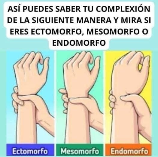 TIPOS DE COMPLEXIÓN CORPORAL: ERES ECTOMORFO, MESOMORFO O ENDOMORFO ...