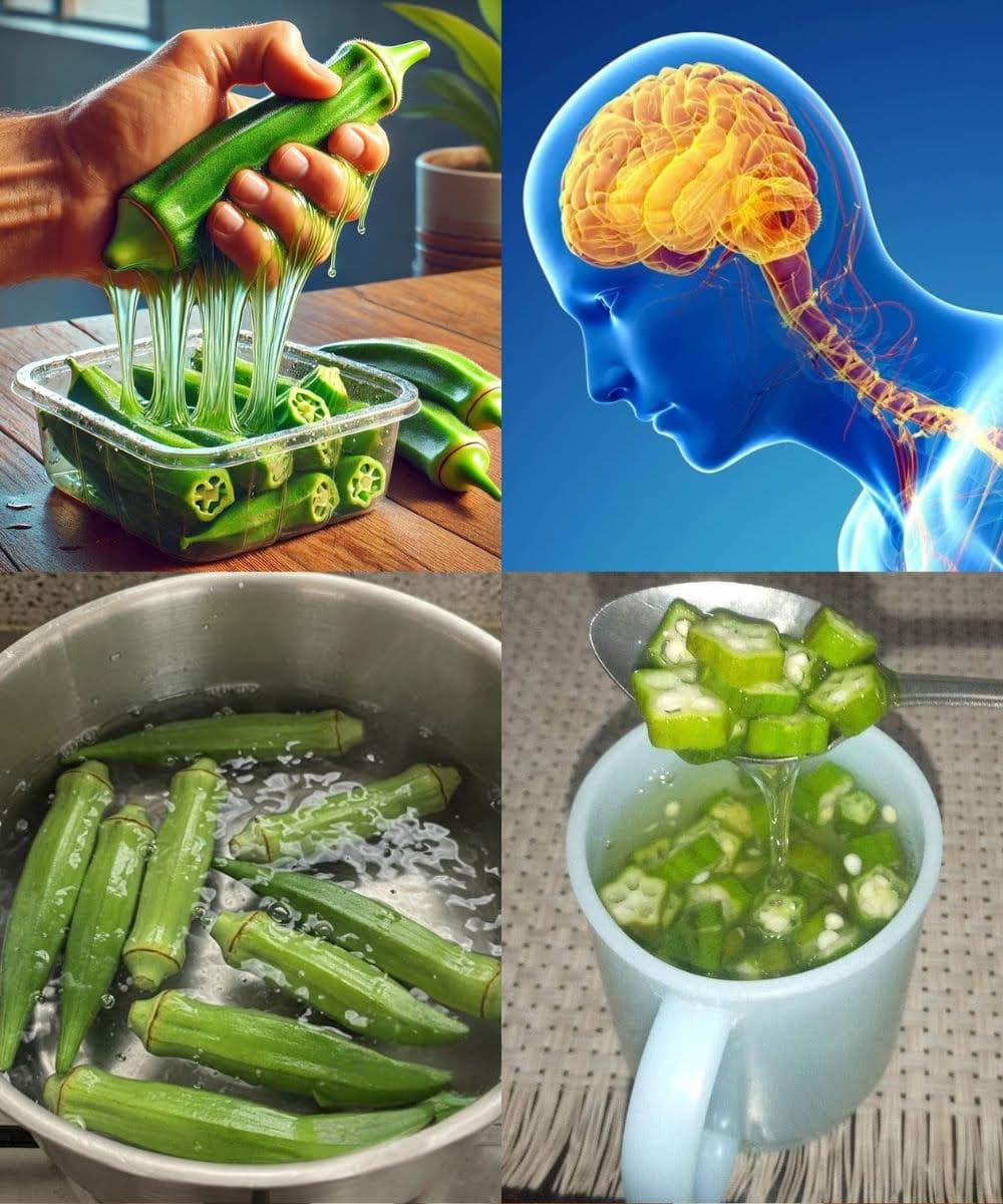 Descubre 10 cosas sorprendentes sobre el quimbombó y sus beneficios ...